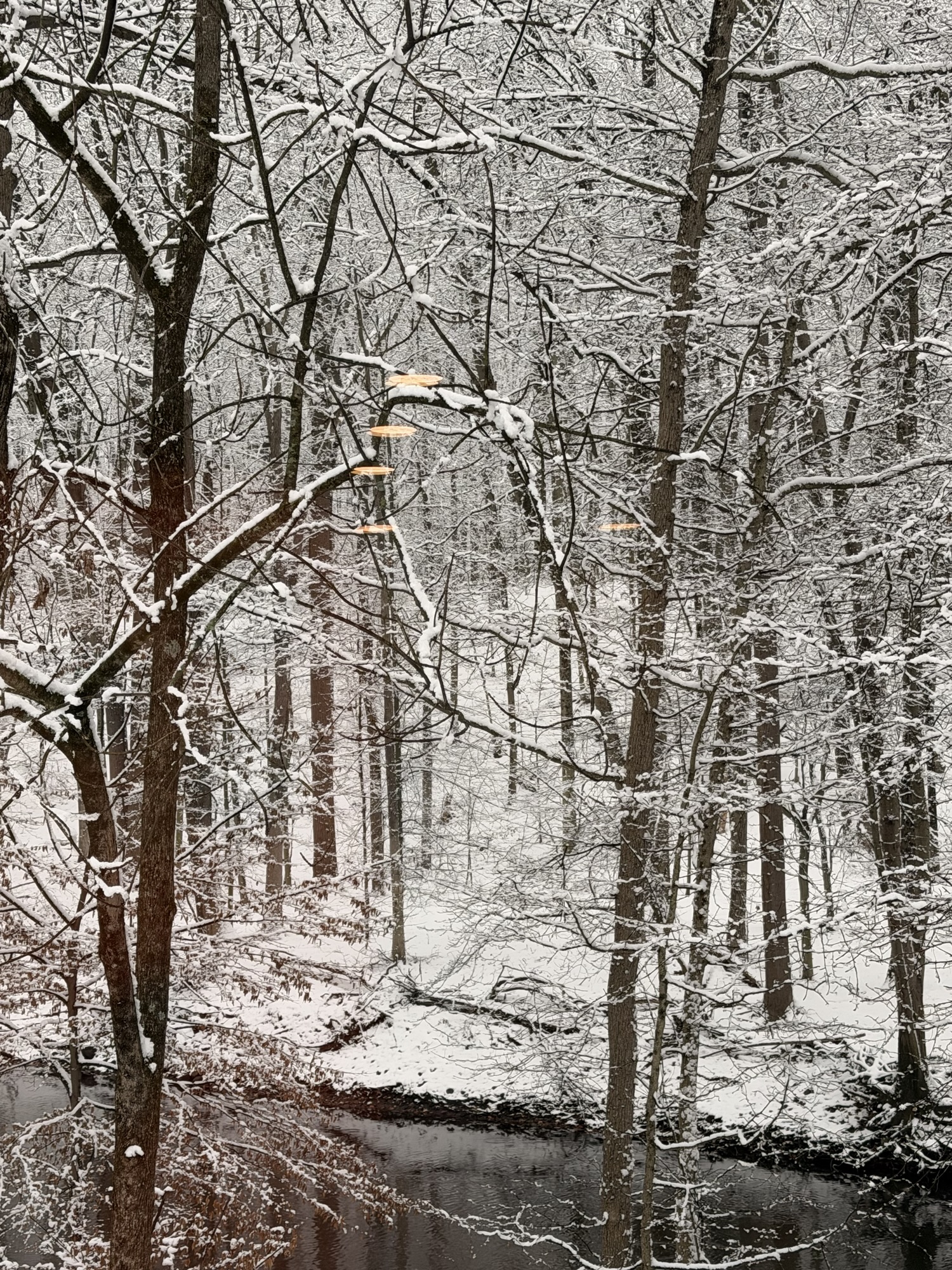 Snow Day – With a Full Heart